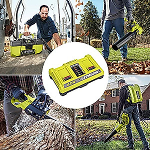 Hipoke OP401 40V Dual Battery Charger for Ryobi 40V Lithium-ion Battery OP4040 OP4026 OP4026A OP4050A OP40601 OP40602 OP4030 OP4015 OP40201, 40V Ryobi Charger Tool