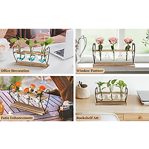 takfot Plant Propagation Station with Wood Stand, Terrarium Tabletop Glass Planter for Hydroponics Air Plants Home Office Decor, Plant Holder Lover Gifts for Women-3 Heart Shaped Vase