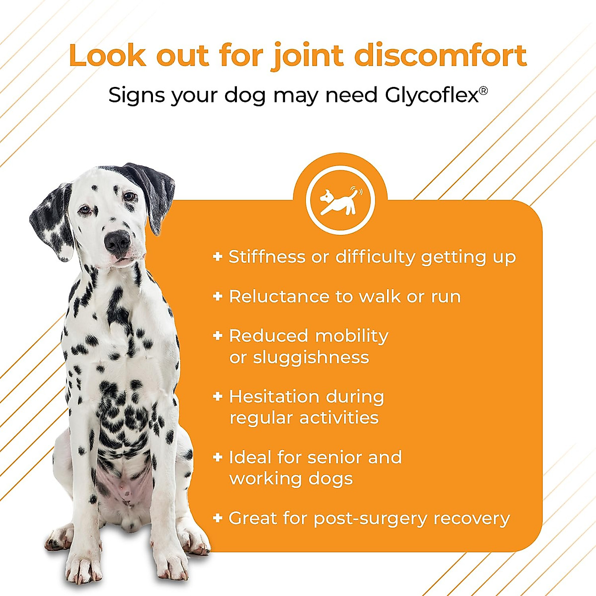 VetriScience Glycoflex 3 Clinically Proven Hip and Joint Supplement for Dogs - Maximum Strength Dog Supplement with Glucosamine, MSM, Green Lipped Mussel & DMG - 2 Pack (120 Chewable Tablets Each)​