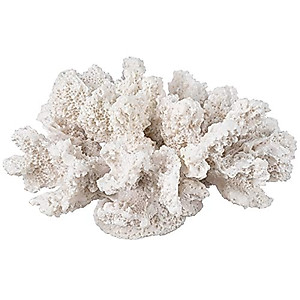 Nautical Crush Trading Decorative Sea Coral - 4in x 3.5in x 2.5in - Small White Coral for Beachy Decor - Perfect for Aquariums - Fish Tanks