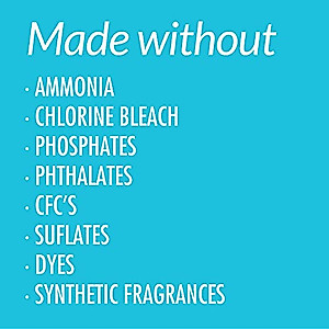 PL360 Pet Odor Neutralizing Carpet Powder | Pet Smell Oder Eliminator | Removes Cat, Dog, Pet, Bad Odors from Carpets | Eco Friendly, Natural and Safe Ingredients | 16 oz