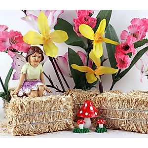 Meyer Imports Mini Hay Bales - Small - (Pack of 12) Small Decorative Hay – for Craft/Dollhouse/Farm/Halloween/Table Decoration - 2.5 x 1 Inches Each