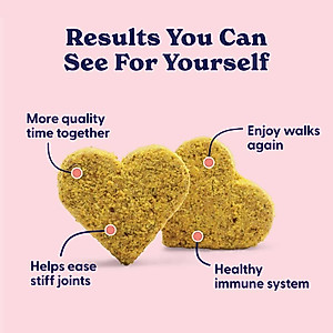 Origin Labs Senior Dog Multifunction Support Omega 3 Supplement, Gut Health Probiotics, Heart, Skin, Liver & Joint Health, Immune Support, Glucosamine Chondroitin, Beef Liver Flavor, 90 Soft Chews