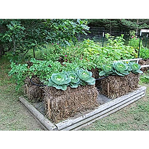 BaleBuster4 Four Bale Conditioning Formula for Preparation of a Straw Bale Garden for Planting a Vegetable Garden