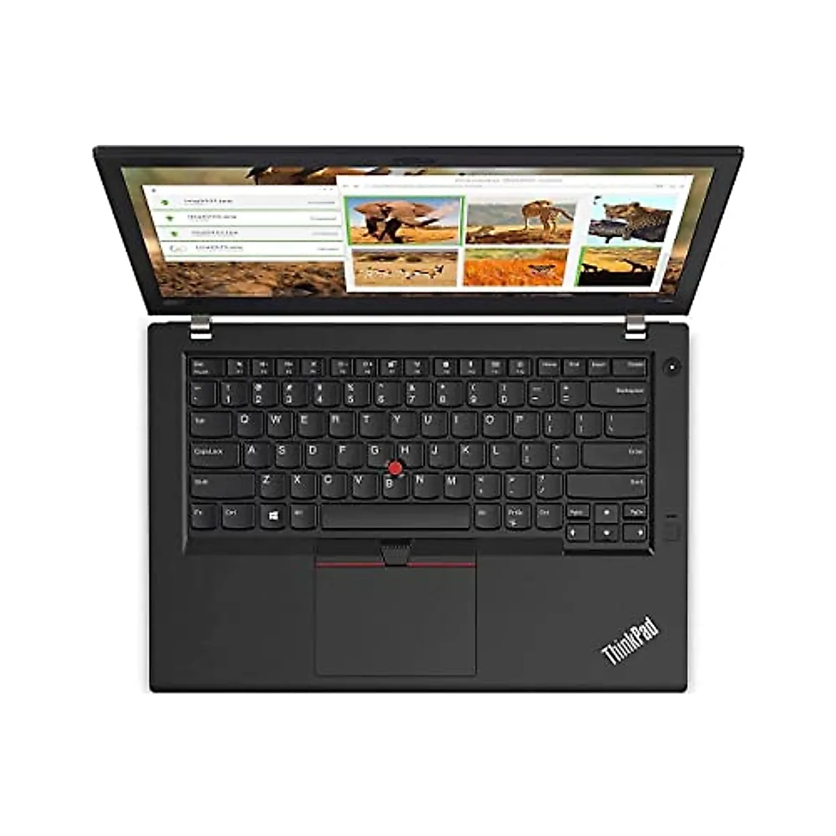 Lenovo ThinkPad T480 Laptop Intel Core i5-7300 16 GB DDR4 Memory Ram 256 GB SSD 14.0" HD Windows 10 Pro 64-bit, CAM (Renewed)