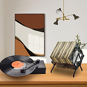 WonYins Vinyl Record Storage Holder, Holds 85-110 Vinyl Records, Magazine Holder, Vinyl Records Albums Vinyl Record Storage Rack Black