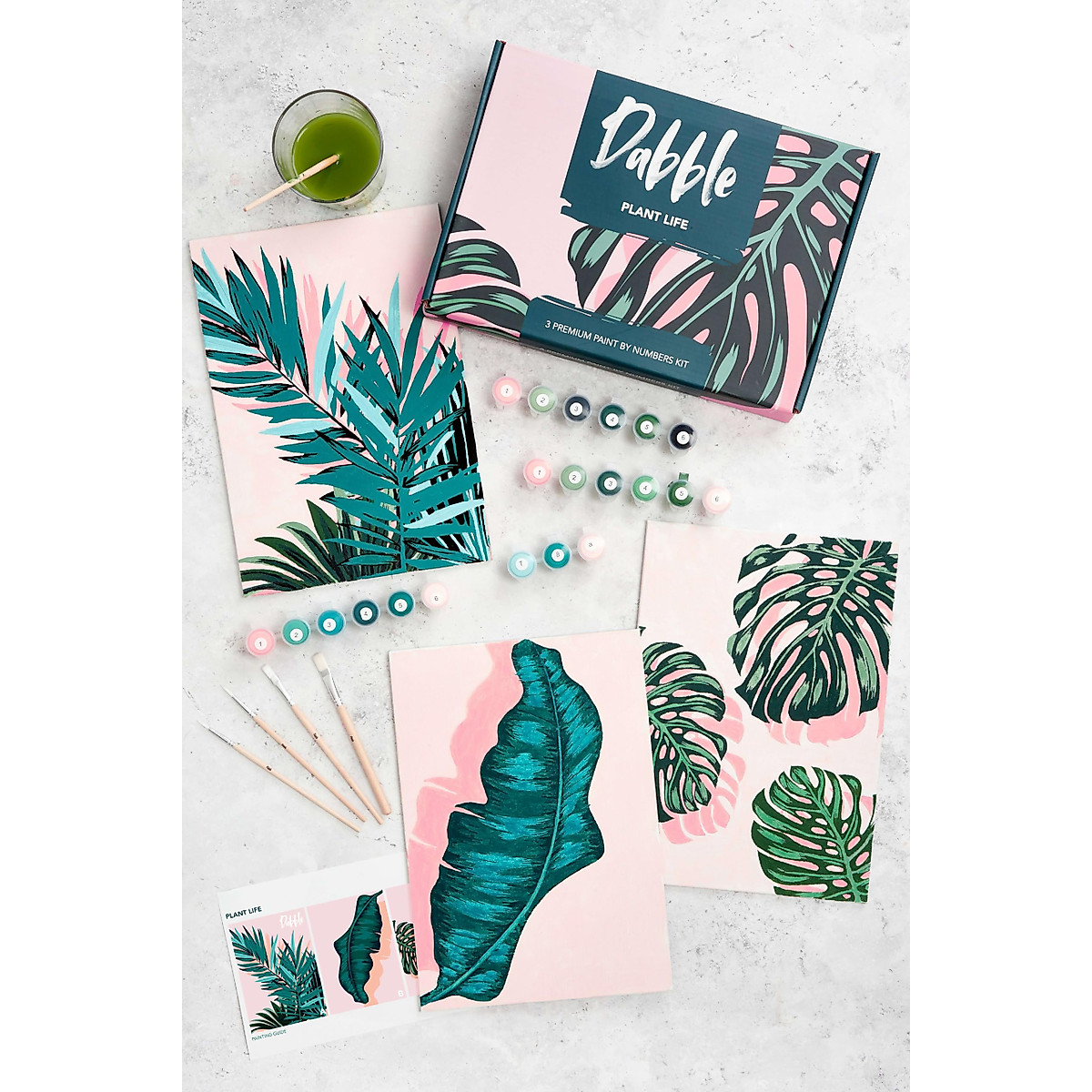 Dabble™ Premium Paint by Numbers Kit for Adults Beginners, Quality Painting by Numbers for Adults on Canvas Frame, Flowers, Plants, Gift - Plant Life