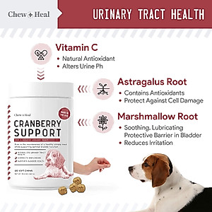 Digestive Enzymes and Probiotics and Cranberry UTI Support for Dogs - Supports Healthy Digestive Tract, Helps Nutrient Absorption - Healthy Urinary Tract and Bladder Function - 120 Soft Chews Each