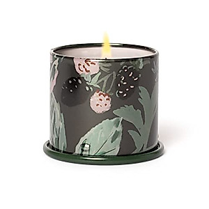 Illume Beautifully Done Essentials BlackBerry Absinthe Demi Vanity Tin Scented Candle