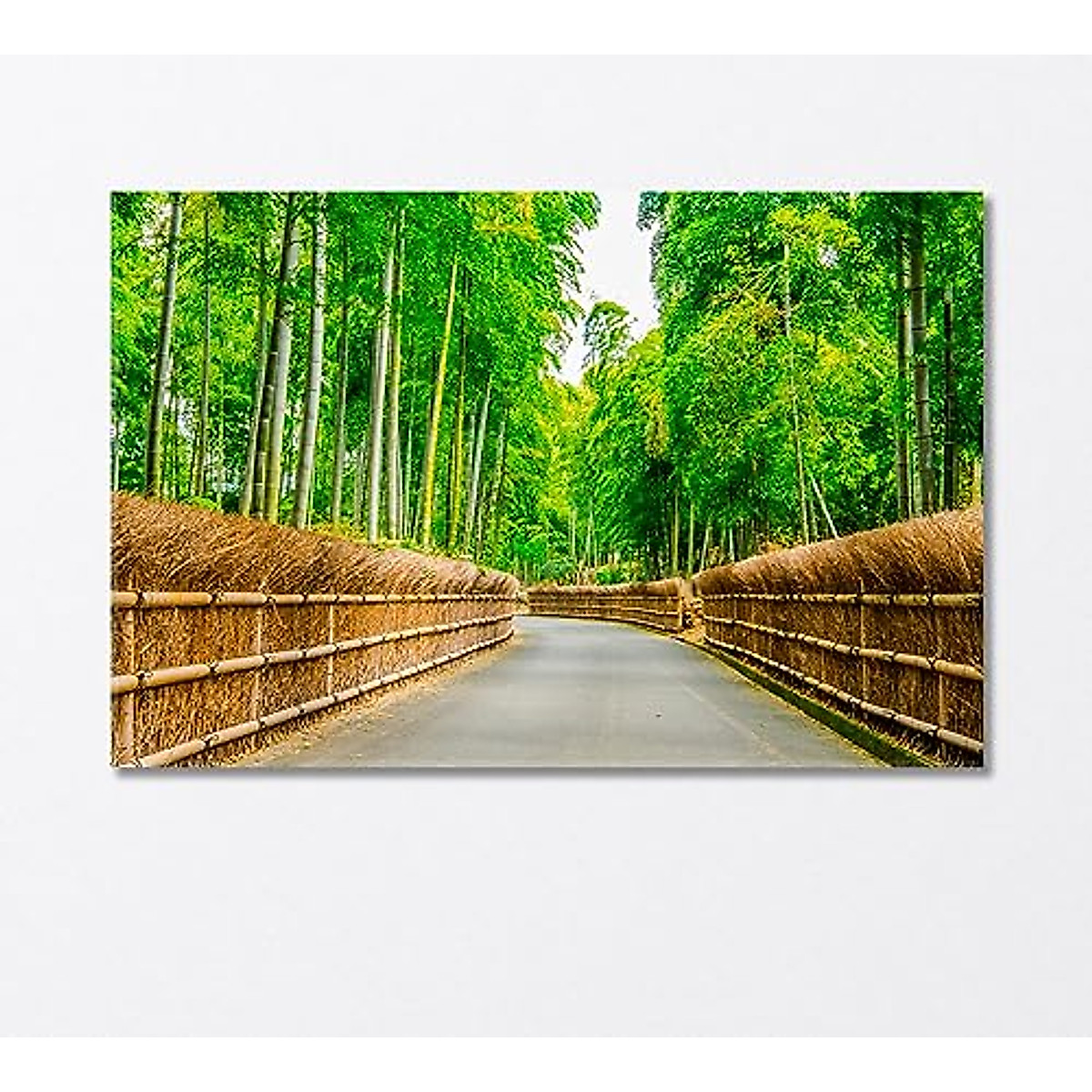 Bamboo Forest Canvas Print 1 Panel / 36x24 inches