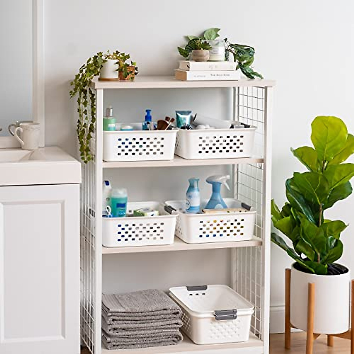 IRIS USA Plastic Storage Basket, 6-Pack, Medium, Shelf Basket Organizer for Pantries, Kitchens, Cabinets and Bedrooms White