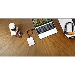 LaCie Mobile Drive 4TB External Hard Drive Portable HDD – Moon Silver USB-C USB 3.0, for Mac and PC Desktop, 1 Month Adobe CC (STHG4000400)