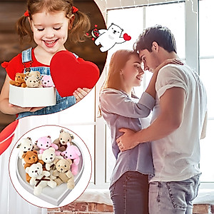 Skylety 16 Pcs Mini Plush Bear Bulk 4 Inch Bear Stuffed Animal Toy Doll Small Soft Bear Keychain for Birthday Baby Shower Wedding Party Favor Decor(Light Brown, Dark Brown, Pink, Beige,Cute)