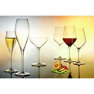 Luigi Bormioli - 08748/07 Luigi Bormioli Atelier 9.25 oz Champagne Glasses, Set of 6, Clear