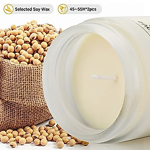 Candles | Candles for Home Scented | 2 Pack 7.1oz Natural Soy Wax Aromatherapy Candles | Over 120 Hours of Burn Time | Christmas Scented Candles Gifts Sets for Women | Apple Cinnamon Candles