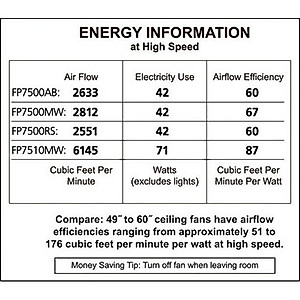 Fanimation Windpointe - 22 inch - Rust with Antique Narrow Oval Blades with Pull-Chain - FP7500RS