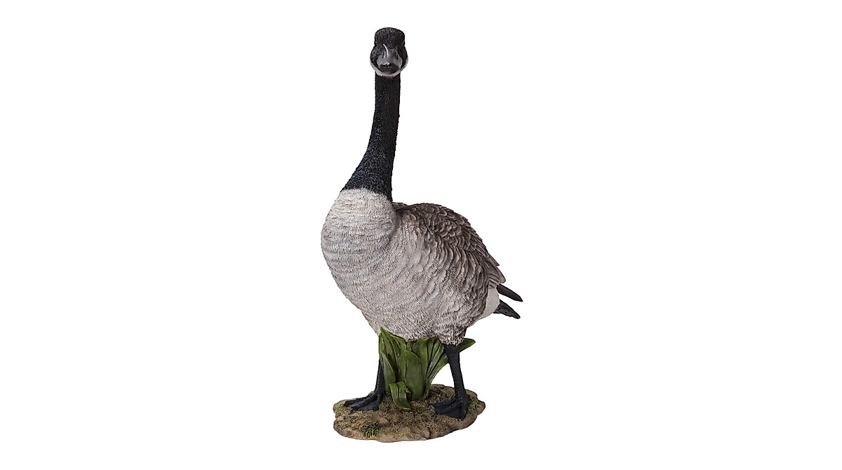 Hi-Line Canada Goose Statue for Home & Garden Decor