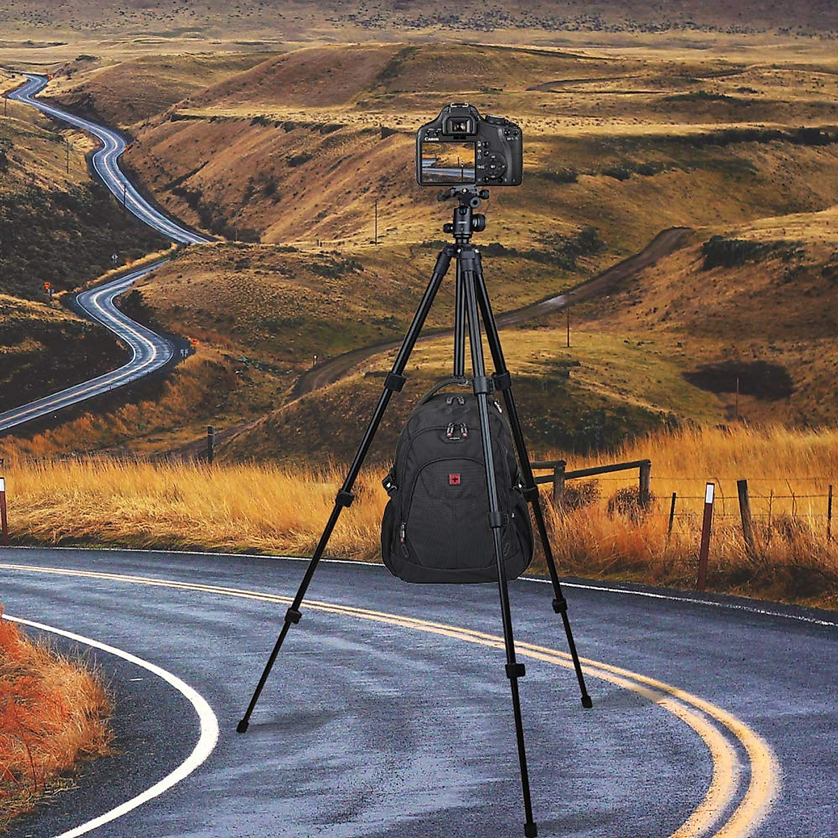 Abithid Camera Tripod for DSLR,Phone Holder Tripod for Camera, Compact Light Video Vlog Blogging Stand with Quick Plate and 360°Pano rama Ball Head for Travel