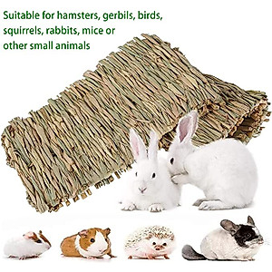 QHZAHNG Bunny Grass House,Natural Handmade Edible Foldable Comfortable Grass nest for Rabbits，Bunny, Guinea Pig, Little Animals, Play Paradise Grass Nest。 (B)