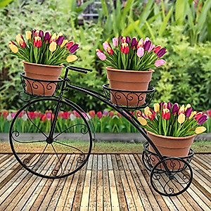 Sorbus Tricycle Plant Stand - Flower Pot Cart Holder - Ideal for Home, Garden, Patio - Great Gift for Plant Lovers, Housewarming, Mother’s Day - Parisian Style (Black)