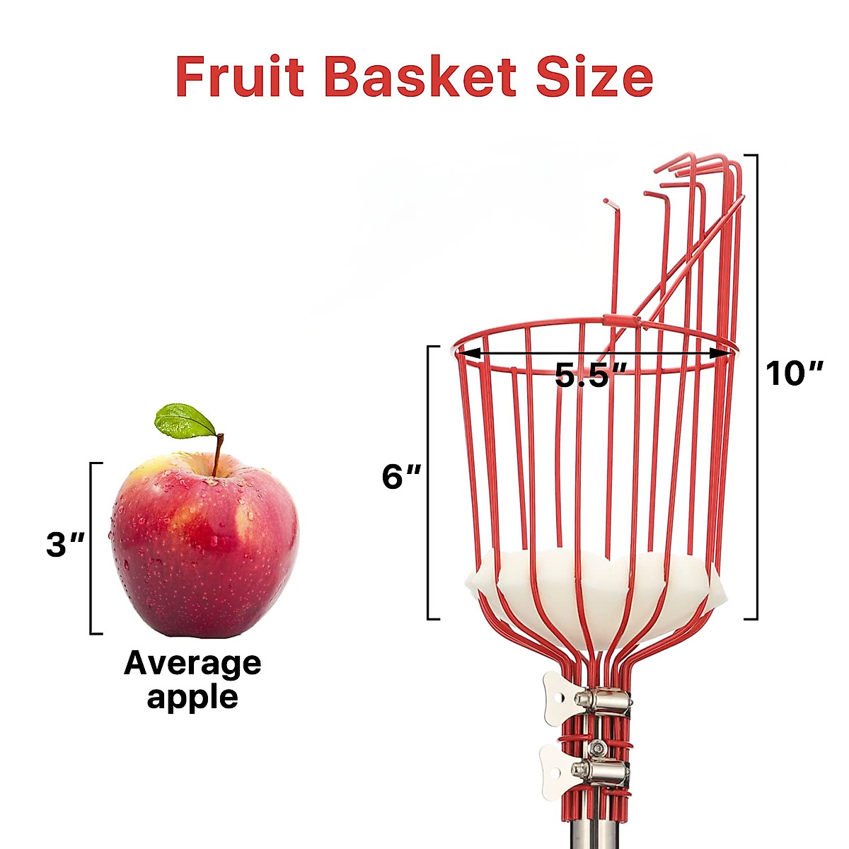 Fruit Picker Tool, 13 Ft Extendable Pole with Basket for Fruit Picker, High Reach Stainless Steel Fruit Picking Tool for Apple, Orange, Citrus, Pear, Mango from Trees, Easy Install and High Reach