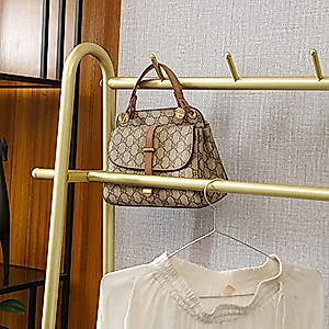 BOTAOYIYI Gold Clothing Rack 39.4 Inch L, Gold Metal Clothes Rack Garment Stand Modern Retail Heavy Duty For Boutique Store Or Bedroom With Coat Hanger And Shoe Display Free Standing