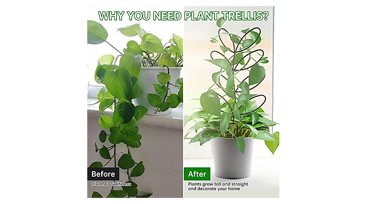 Mini Green Leaf Metal Trellis for Indoor Plants | Support Climbing Vines