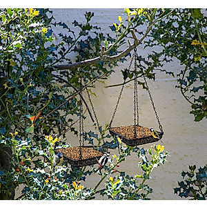 MIXXIDEA Hanging Bird Feeder Tray Metal Mesh Platform Seed Feeder with Durable Chains for Outdoors Garden Great for Attracting Birds (1 Pack)