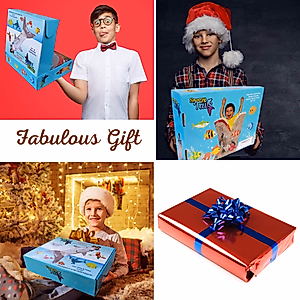 Shark Tail Animal Blanket for Boys. Soft Plush Shark Sleeping Bag Blanket for Kids with Gift Box. Blankie Fun Fin Gray. Snuggle Double-Sided Minky Fabric. Cozy for Boys Kids