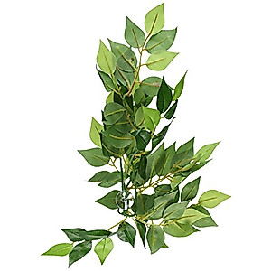 Exo Terra Silk Terrarium Plant, Small, Ficus