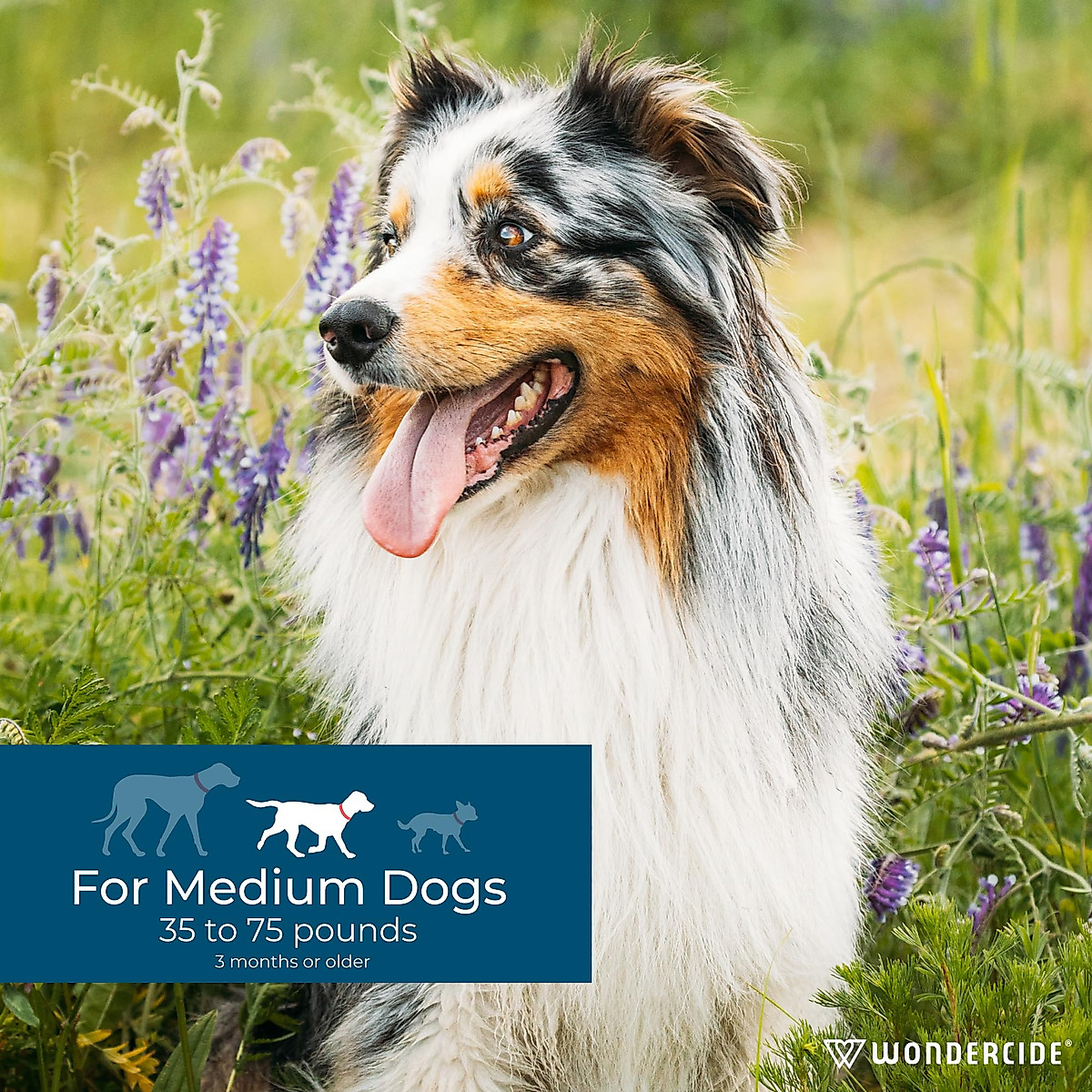 Wondercide - Flea & Tick Dog Spot On - Flea, Tick, and Mosquito Repellent, Prevention for Dogs with Natural Essential Oils - Up to 3 Months Protection - Medium 3 Tubes of 0.10 oz