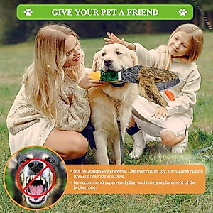 wangstar Squeaky Dog Toy for Puppy Dogs Toys to Keep Them Busy Mallard Duck Stuffed Dog Toys for Medium Small Dogs, 16.5" Wild Duck