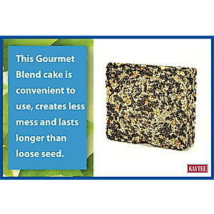 Kaytee Wild Bird Gourmet Seed Cake for Cardinals, Chickadees, Juncos, Titmice, Woodpeckers and More, 2 Pounds (Pack of 2)