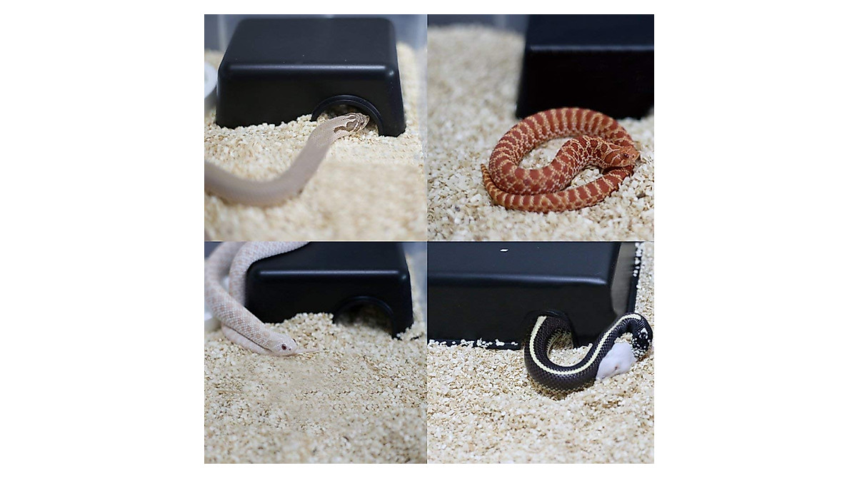Wontee Reptile Hideout Box for Snakes & Lizards