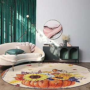 Boho Pumpkin Round Area Rug 3ft,Washable Outdoor Indoor Carpet Runner Rug for Bedroom,Kitchen,Bathroom,Living Room,Office,Area+Rug Small Bath Door Desk Floor Mat Thanksgiving Fall Southwest Sunflower