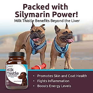 K9 Select Milk Thistle for Dogs, 100mg - 60 Vegetable Capsules - Canine Liver Health Milk Thistle Supplement - Liver Supplement - Liver Support Supplement - Milk Thistle Herbal Supplements