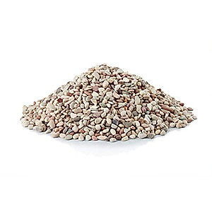 Succulent Cactus Seed DIY Terrarium Germination Starter Kit for Indoor Garden Growing - Mini Terrarium Kit with Seeds, Soil, Rocks, Moss, Pea Gravel, Activated Charcoal, and Burlap Potting Planters