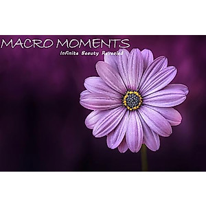 10x High Definition 2 Element Close-Up (Macro) Lens for Nikon, Canon, Sony, Panasonic, Fujifilm, Pentax & Olympus DSLR's (40.5mm)