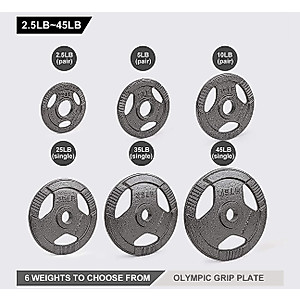 LIONSCOOL 2-Inch Olympic Grip Plate in Pairs or Single (10LB PAIR)