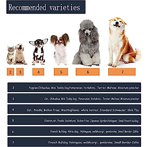 YAODHAOD Dog Shoes for Small Dogs, Anti-Slip Dogs Boots & Paw Protector for Winter Snowy Day, Summer Hot Pavement Dog Booties with Reflective Straps, Cat Dog Shoe for Indoor Hardfloors (Red,7)