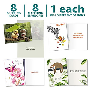 Tree-Free Greetings - Birthday Cards - Artful Designs - 8 Cards + Matching Envelopes - Made in USA - 100% Recycled Paper - 5"x7" - Thinking of You, Friendship, All Occasion, Thank You, Birthday (AGA1139)