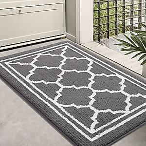 Buganda Indoor Door Mat, Resist Dirt and Absorbent Entrance Mat, Anti-Slip, Low Profile Inside Floor Mat Doormat for Entryway (32x20 inches, Grey)