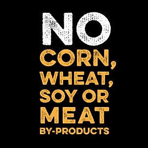 NATIVE Performance Dog Food | Lamb Meal and Rice Formula | No Filler or Bi-Products | Low to Normal Energy Level 1 | 40 Pound Bag