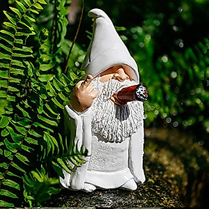 BBdis Funny Garden Gnome Statue,5.9in Naughty Mini Smoking Middle Finger Gnomes Statue for Fairy Garden,Indoor or Outdoor Lawn Garden Christmas Decorations Housewarming Garden Gifts