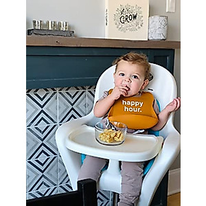 Denver James Silicone Feeding Bibs | Dishwasher Safe. Waterproof. Adjustable.