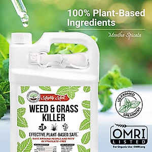Weed & Grass Killer – Natural Vinegar Weed Killer – for Organic Use – 1 Gallon - Glyphosate Free - OMRI - Shake Well