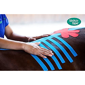 VETKIN VetkinTape® Veterinary Kinesiology Tape Blue | Kinesiology Tape for Horses & Dogs | Equine & Canine Kinesiotape | Latex Free and TÜV Quality Mark Certified Ktape | 4 inch | Pack of 1 Roll