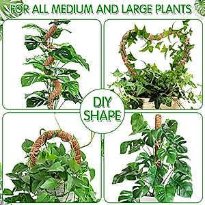 ROADPLUM 2 Pack 43.3" Moss Pole Coco Coir Poles, Bendable Plant Stakes Moss Pole for Plant Monstera with Twist Ties Plant Ties Labels Jute Rope, Plant Sticks Support for Climbing Plants Growth Indoor