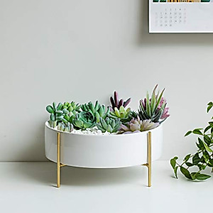 kimisty 10 Inch Large Round Succulent Planter Bowl with Gold Metal Plant Stand, White Ceramic Pot with Drainage, Succulent Garden Shallow Pot, Centerpiece Tabletop