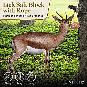 UMAID Himalayan Salt Lick 6 lbs On Rope for Horse, Deer, Goat, and Livestock Animals - Himalayan Salt Block 2 Pack